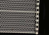 China 1mm Wire Mesh Conveyor Belt Stainless Steel Balanced Weave Spiral For Baking for sale