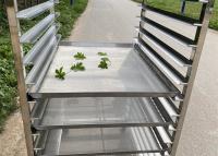 China Customized Bakery 201 Stainless Steel Rack Trolley For Home for sale