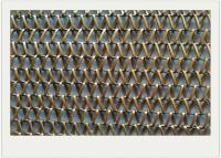 China SUS310 Wire Mesh Conveyor Belt With Balanced Chain Used In The Conveyor Trays for sale