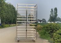 China Double Line With Brake And No Brake Stainless Steel 201 304 316 / Aluminium Rack Trolley for sale