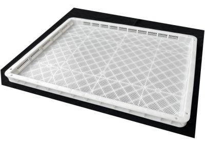 China Customizable Food Grade Plastic Vented Tray For Freezing Storage Drying Stacking Fruit Seafood for sale
