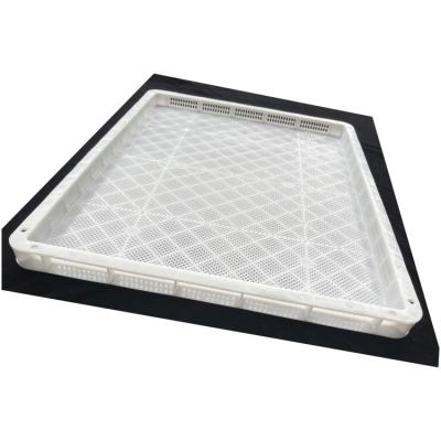 China Perforated Food Grade Stackable Plastic Drying Trays For Freezing Of Fruits Vegetables Seafood Freezing Trays for sale