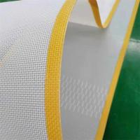China Customized Plain Woven Polyester Mesh Conveyor Belt for Paper Making Sludge Dewatering Dryer for sale