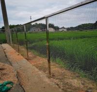 China Metal Woven roll Fine 80 Micron 1.5mm 3mm hole size  Filter Sieve Screen Fabric Panel Sheet 304 316l Stainless Steel Wire Mesh for sale