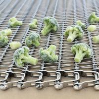 China Custom 304 316 Stainless Steel Balance Weave Wire Mesh Spiral Freezer Conveyor Belt for Food Processing for sale