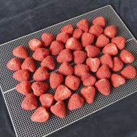 China 800x600 304 Stainless Steel Metal Cooling Rack Baking Drying Fruit Wire Mesh Tray for sale