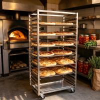 China High Temperature Resistant 304 Stainless Steel Tray Trolley 18 Tier for Oven Blast Freezer Cold Room for sale