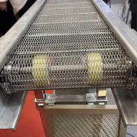 China Custom Size OEM Stainless Steel Wire Mesh Conveyor Belt 304 316L Made to Drawing Specs for sale