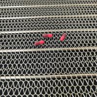 China Annealing Furnace Wire Mesh Conveyor Belt for Drying Oven 316L 25mm Pitch for sale