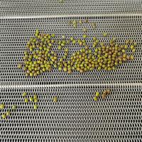 China Stainless Steel Wire Mesh Conveyor Belt Baking Food Processing Oven Balanced Weave 316 Pizza Tunnel for sale