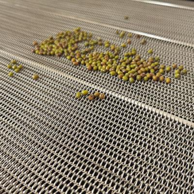 China Custom Wire Diameter Stainless Steel Wire Mesh Conveyor Belt Customized Width 304 316 for sale