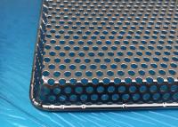 China FDA Certification Stainless Steel Perforated Metal Trays With Customized Size for sale
