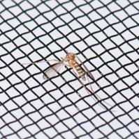 China 100 200 300 400 Micron 304 316 Ss Wire Mesh For Vegetable Oil Filtration for sale