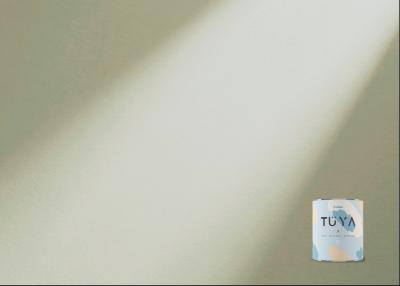 China LNSA004 Let's Paint Interior Wall Paint Small Package Purify Formaldehyde for sale