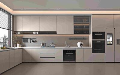 China Double Veneer Eco Friendly Custom Kitchen Cabinet Collections ENF Grade for sale