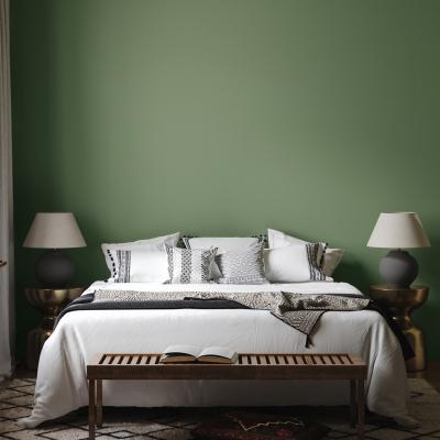 China 5kg Interior Wall Paint As Before Ultra Self Clean Moisture Proof Mildew Proof Grade 0 for sale