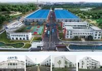 China Drive Profit with Healthy and Texture Lantidend paints Become a Global Distributor for sale