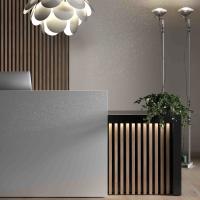 China 7-in-1 Starry sky Metallic glitter texture wall paint for high-end residential real estate developer for sale