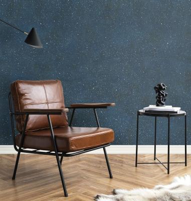 China High End Starry sky Wall Coating for Villa Hotel Project in UAE Dubai Saudi Arabia for sale