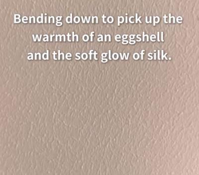 China Eggshell Texture Paint The Breathable Anti‑Mold Alternative to Ordinary Latex for sale