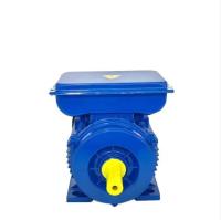 China 100% Copper Low Noise 0.37kw-3kw Ac Asynchronous Electric Motor Single Phase Asynchronous Motor for sale