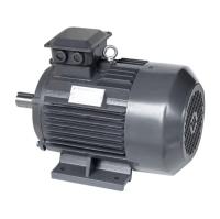 China YE3 Premium Efficiency 1.5KW 2HP 10HP 220V 380V 460V 50Hz 60Hz Asynchronous AC Induction Motor for sale