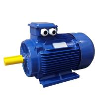 China YE3-100L-2 IE3 Premium Efficiency Electric Motor 220/380/460V 0.12kW to 315kW Totally Enclosed for sale