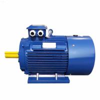 China YE3-100L-2 IE3 Premium Efficiency Electric Motor 220/380/460V 0.12kW to 315kW Totally Enclosed for sale