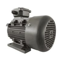China 355mm Shaft Height AC Induction Motor 1485 Rpm 1.64A IE3 Premium Efficiency Electric Motor for sale