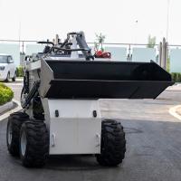 China Mini Skid Steer Loader 200kg 300kg 500kg Track Loader with 13.5hp Engine for sale