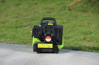 China 1kVA 1000W 2 Stroke Diesel Inverter Generator Natural Gas Portable 50cc 220V for sale