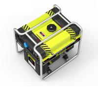 China 8.3A Gasoline Inverter Generator for sale