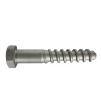 China SS25 Hex Rail Screw Spike 165mm Length Carbon Steel Railway Track Fasteners with 0.625kg Weight for sale