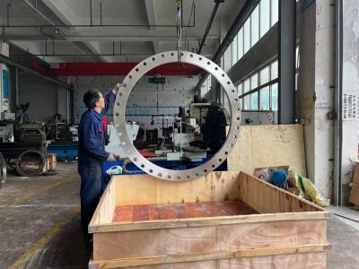 China Forged Flanges Stainless Steel Carbon Steel Brass DN15-DN3000 0.6-32MPa Pressure Rating Industrial Pipe Connections for sale