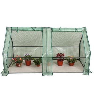China Metal Frame PE Portable Outdoor Mini Garden Walk-In Greenhouse for Planting Needs for sale