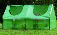 China Metal Frame PE Portable Outdoor Mini Garden Walk-In Greenhouse for Planting Needs for sale