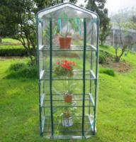 China Easily Assembled Transparent Greenhouse 4 tier Vinyl House with Steel Tube Dia 16mm for sale