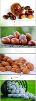 China Lightweight FiberGlass Handle Nut Collector for Easy Harvesting for sale