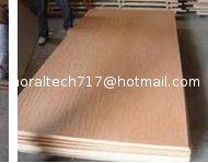 China die board plywood, plywood die board ,birch face die board plywood for sale