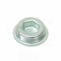 China 1179970230 Auto Engine Oil Galley Plug for Mercedes Benz Sprinter W901 W902 W903 W904 for sale
