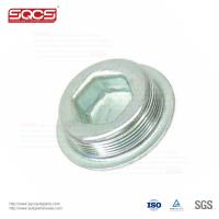 China 1179970230 Auto Engine Oil Galley Plug for Mercedes Benz Sprinter W901 W902 W903 W904 for sale