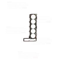 China TH0009 Sprinter OM602 W601 W602 MB100 Cylinder Head Gasket with Metal 6020163520 for sale