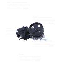 China SQCS Auto Parts Power Steering Pump for Mercedes-Benz Sprinter W906 Part Numbers 0064667801 0064661701 9064660201 0064666601 for sale