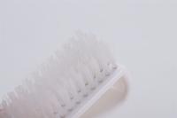 China Plastic Polish Leather Shoe Brush Bristles Mini Handle Washing Multi Functional Cleaning Shoe Shine Kit for sale