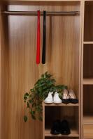 China Extra Wide  Shoe Horn 23.6 Inch 60 CM With Long Handle Make Wearing Taking Off Shoes Easier for sale