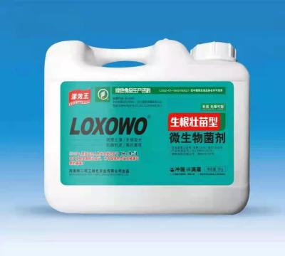 China Agricultural Microbial Inoculant Organic Fertilizer Polyglutamic Acid Special Fertilizer For Fruits for sale