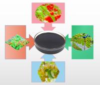 China Crop Agriculture Enhanced Efficiency Fertilizers Water Insoluble for sale