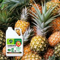 China 100% Plant Source Root Enhancer Organic Carbon Liquid Fertilizer for sale