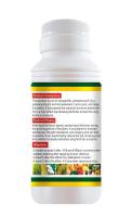 China Biostimulant Plant Amino Acid Organic Water Soluble Fertilizer Organic Raw Material for sale