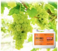 China Water Soluble Agriculture Liquid Organic Foliar Seaweed Fertilizer for sale